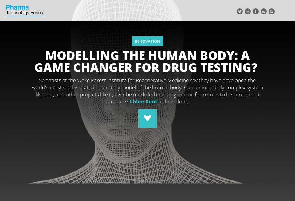 Modelling the human body: a game changer for drug testing? - Pharma ...