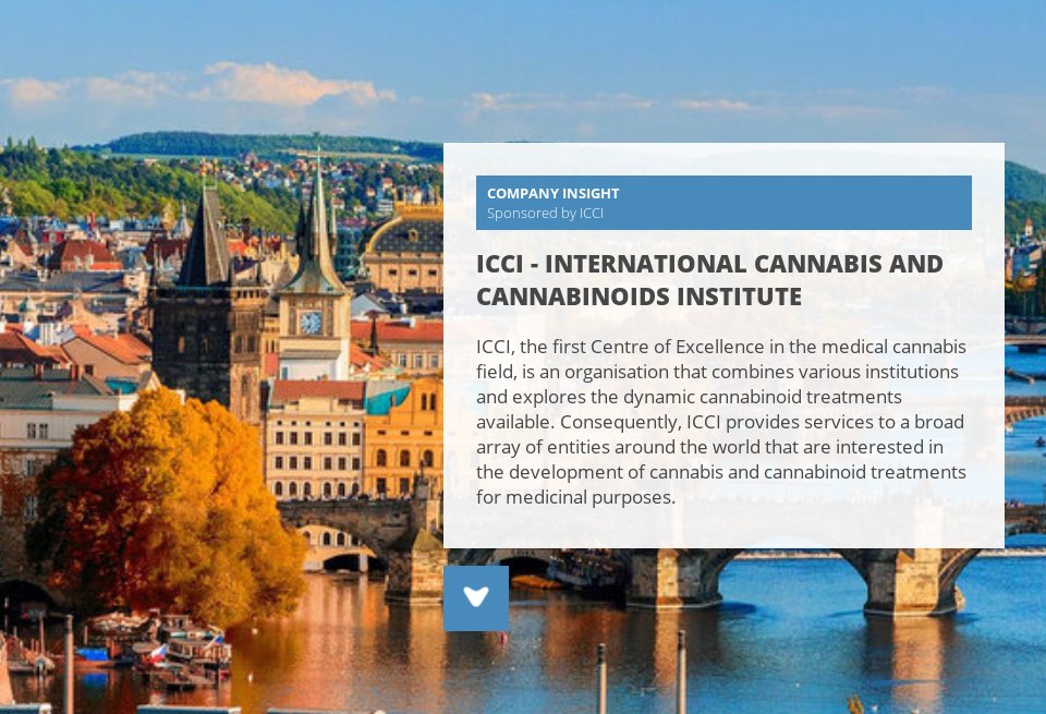 ICCI Company Insight - Pharma Technology Focus | Issue 87 | October 2019