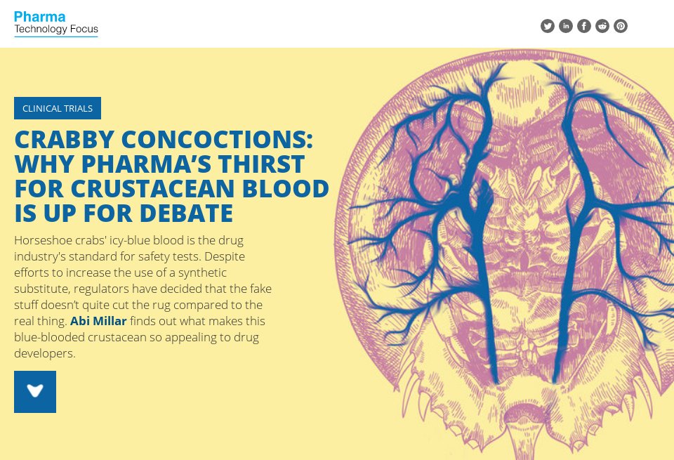 Crabby concoctions: why pharma’s thirst for crustacean blood is up for ...
